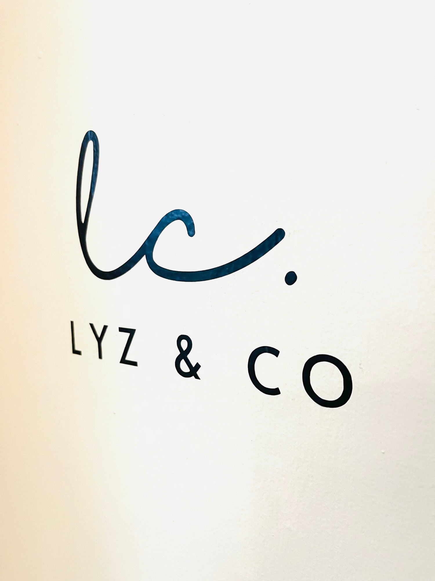 LYZ & CO – LYZ & CO